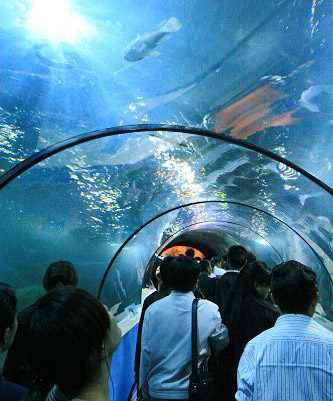 New Suzhou Taihu Underwater World Opens |外国人网| eChinacities.com